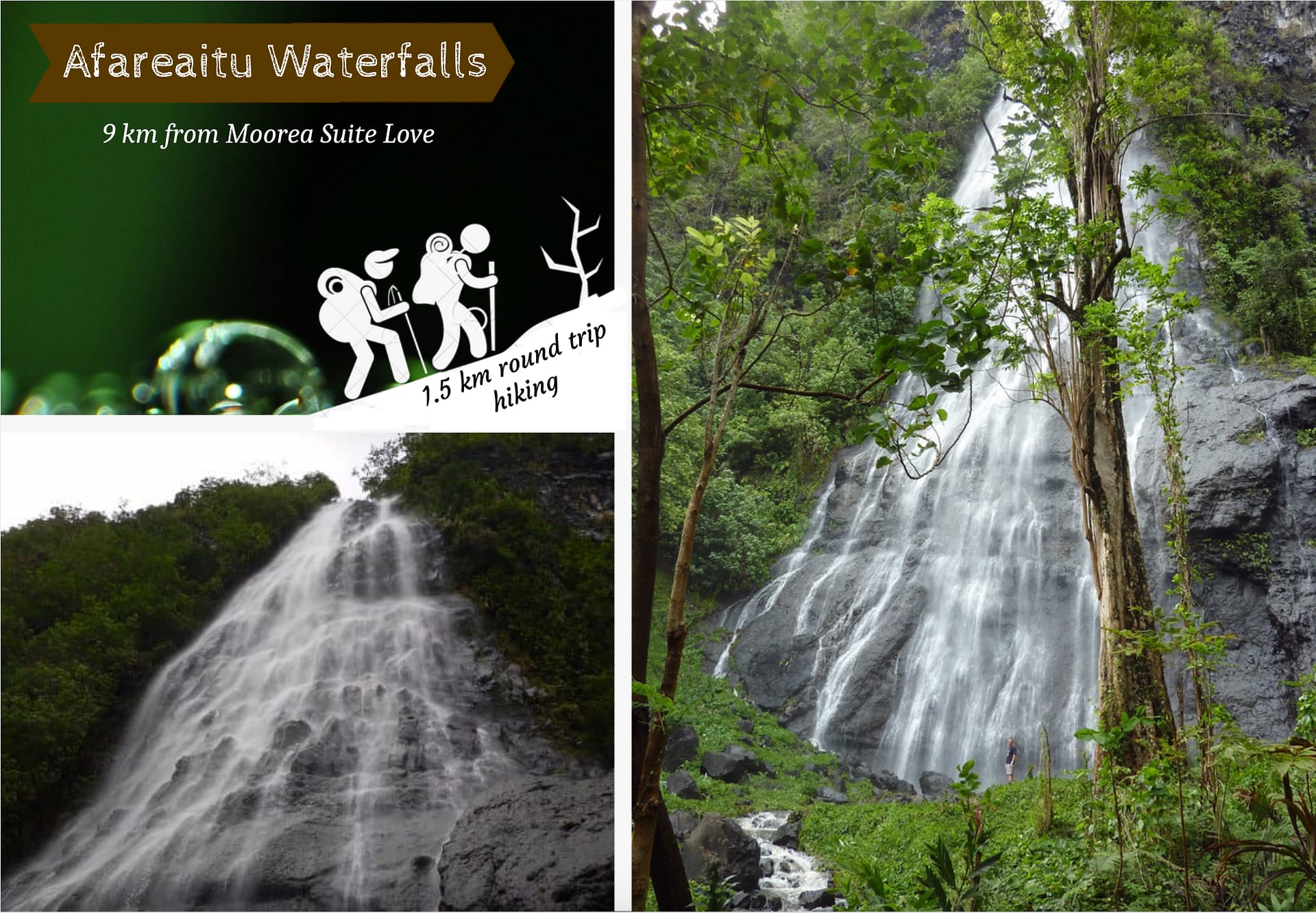 The Right Place in Moorea - Moorea Suite Love